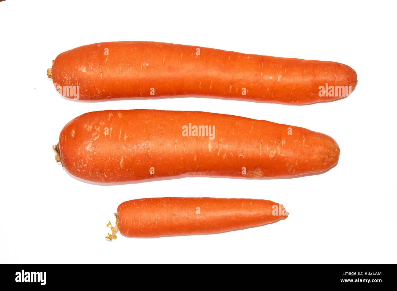 Three whole carrots isolated on a white background. Isolate Stock Photo ...