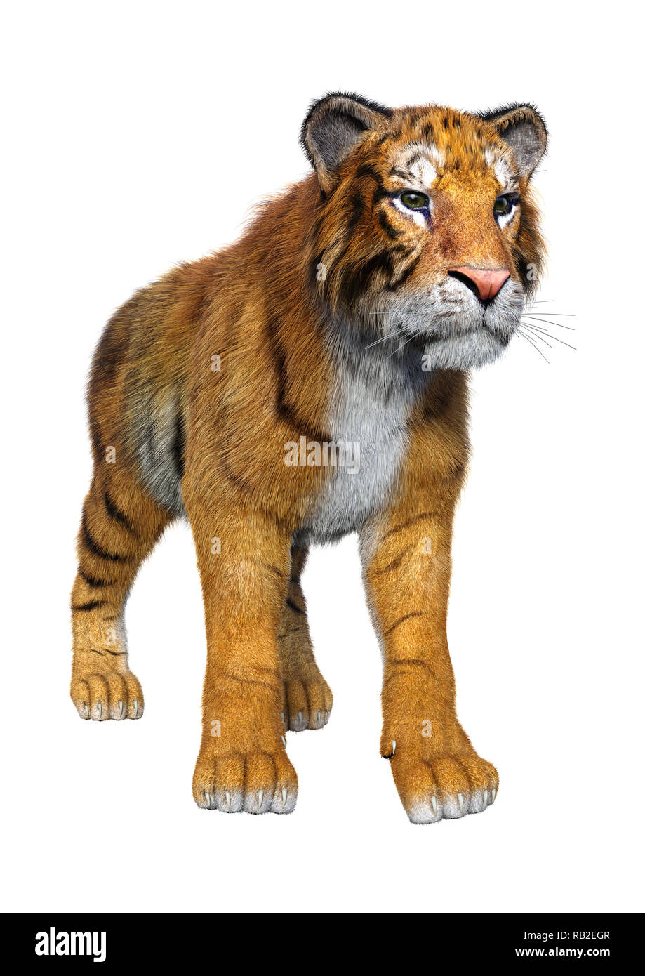 3D rendering of a big cat tiger isolated on white background Stock ...