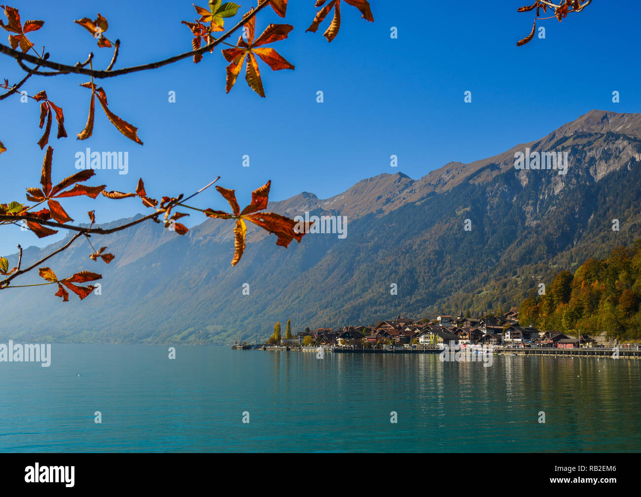 Small town on the lake side of Brienz, Switzerland. The turquoise Lake ...