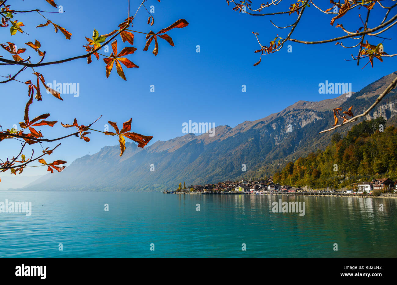 Small town on the lake side of Brienz, Switzerland. The turquoise Lake ...