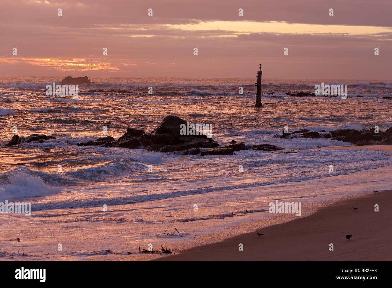 Portuguese red cross hi-res stock photography and images - Alamy