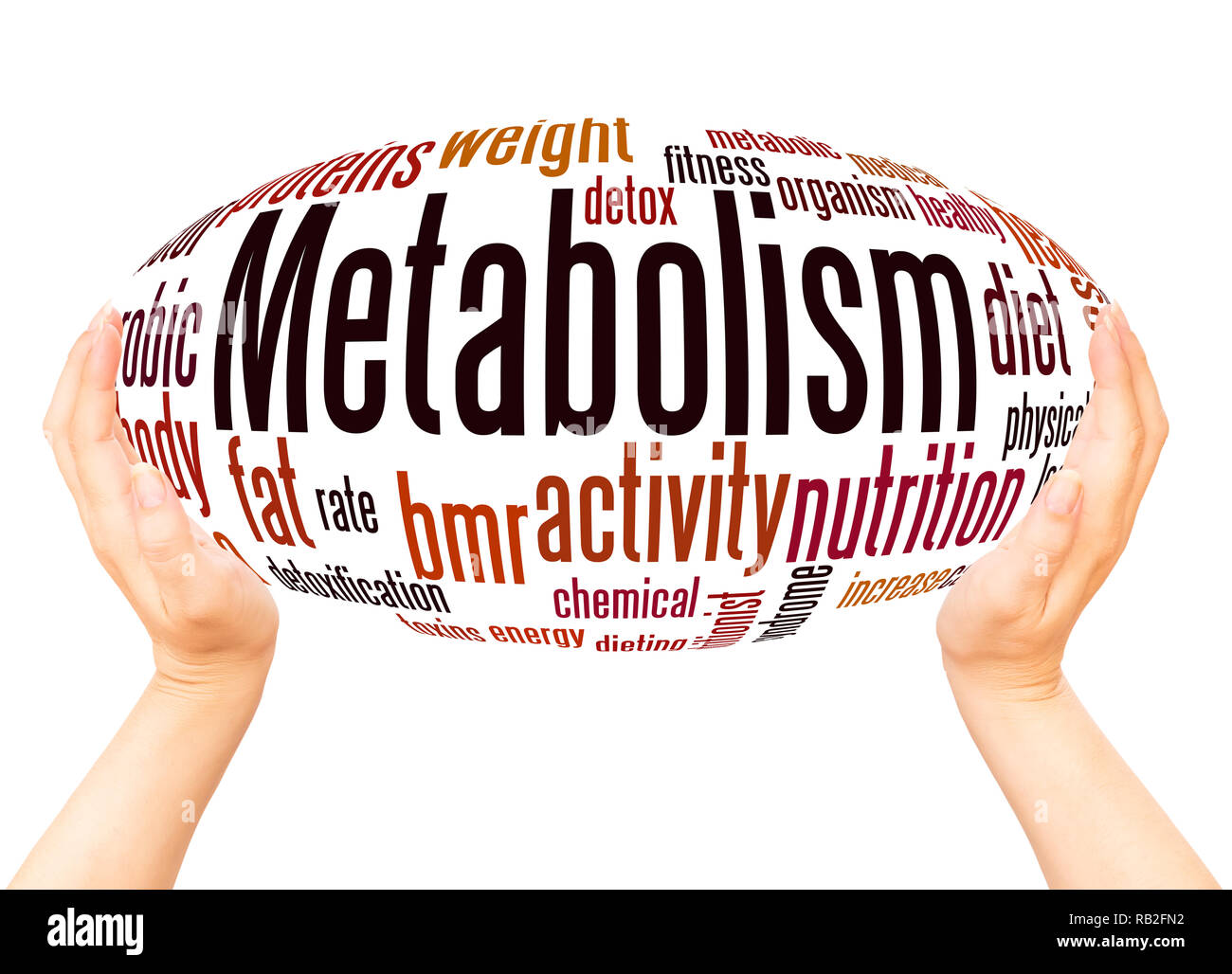 Metabolism word cloud hand sphere concept on white background Stock ...
