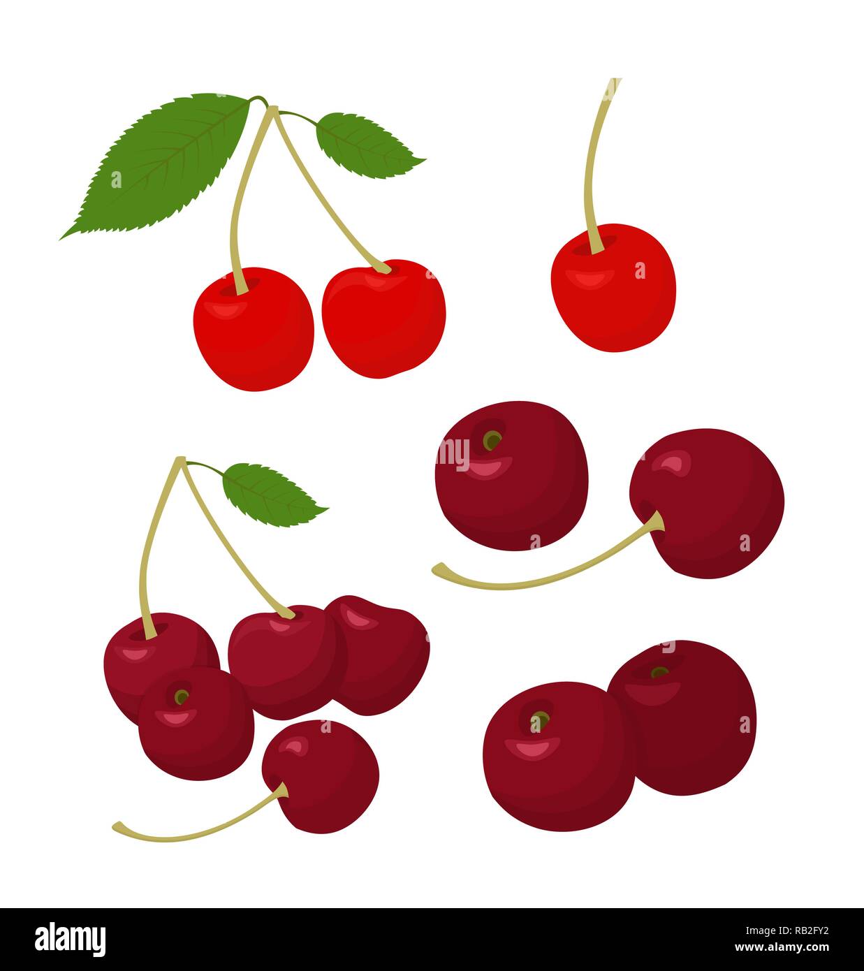Cherries collection. Cherry and merry on white background. Vector ...