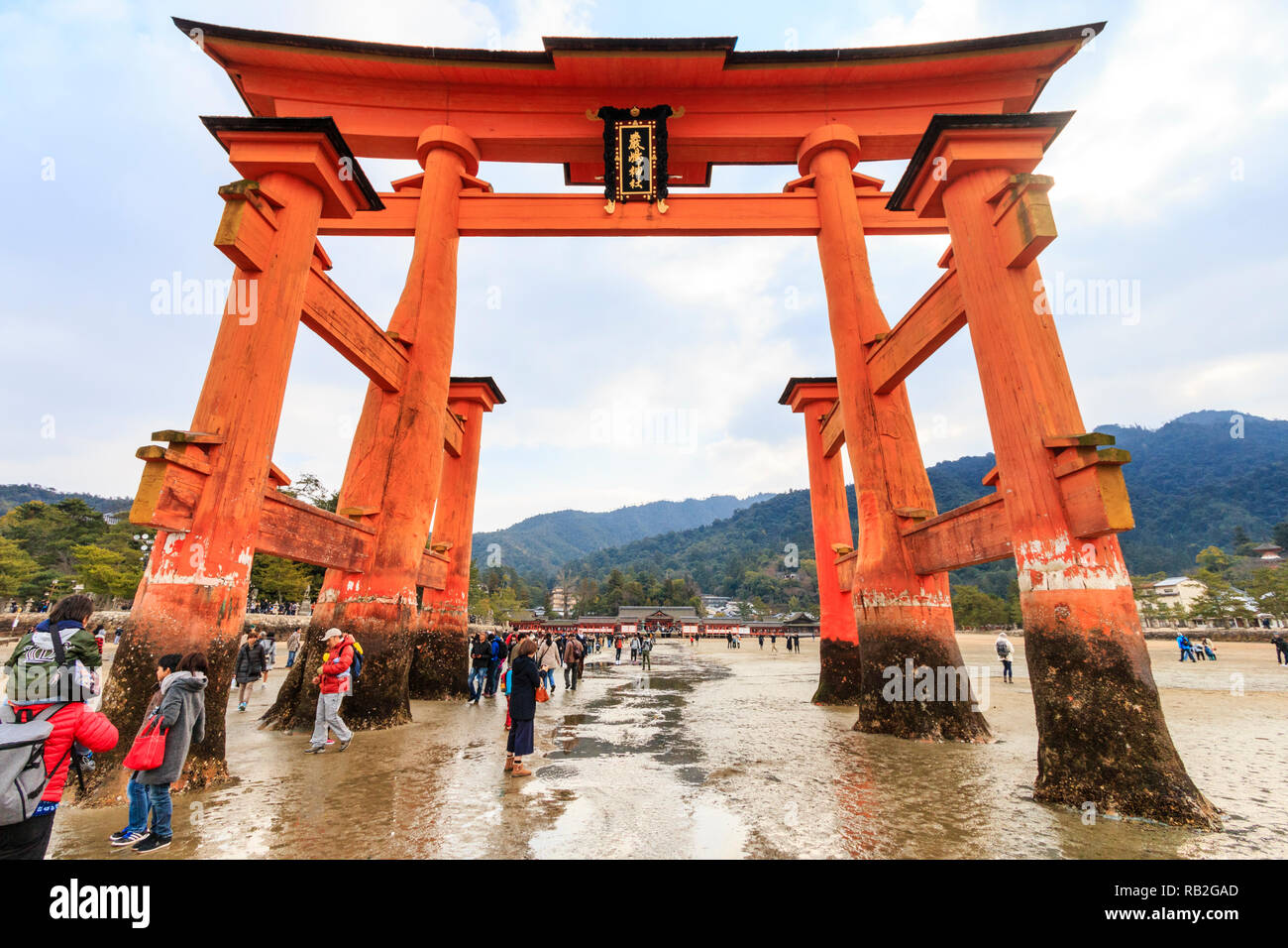 Ryobu torii hi-res stock photography and images - Alamy