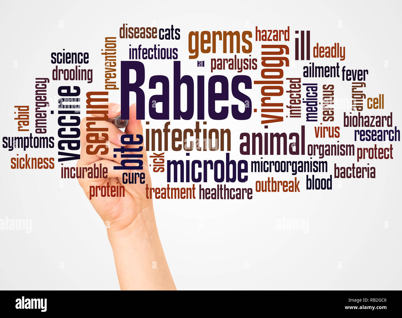 Rabies word cloud and hand with marker concept on white background ...