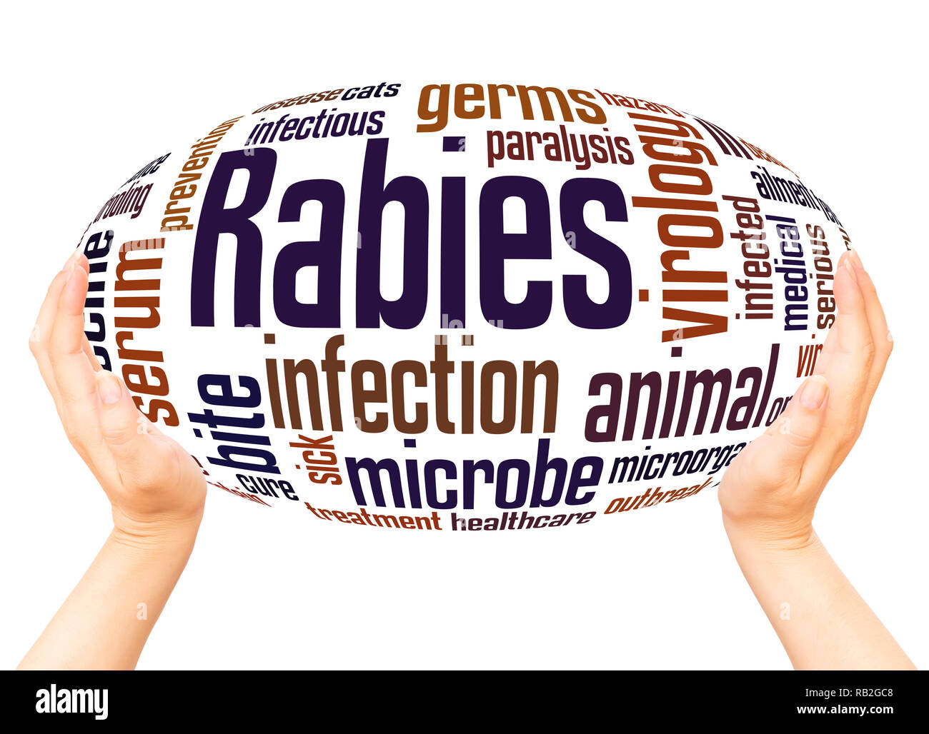 Rabies word cloud hand sphere concept on white background Stock Photo ...