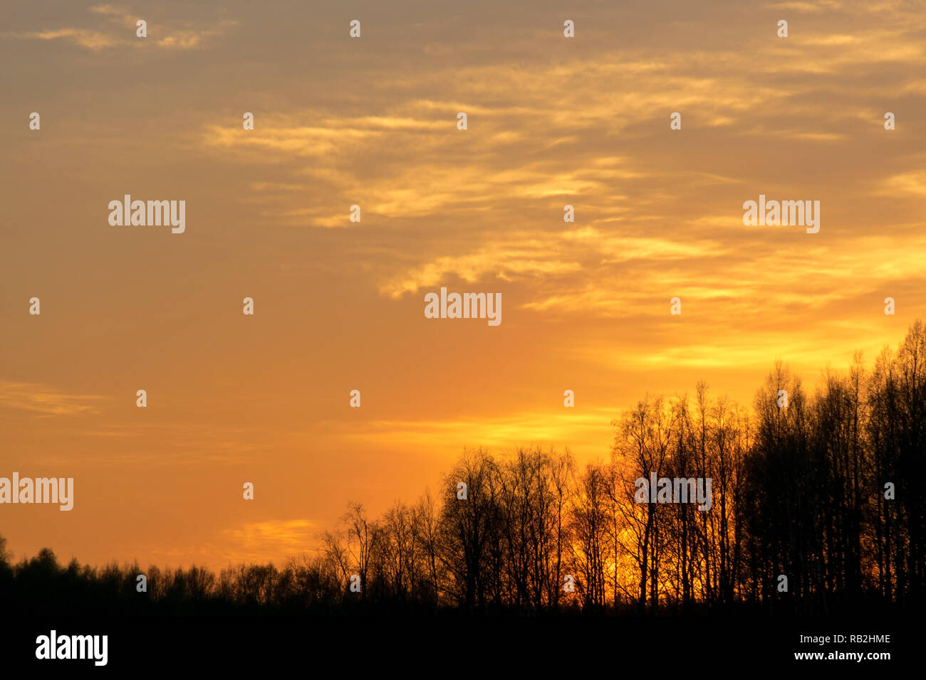 Summer landscape with multicolored sunrise. Beautiful landscape with ...