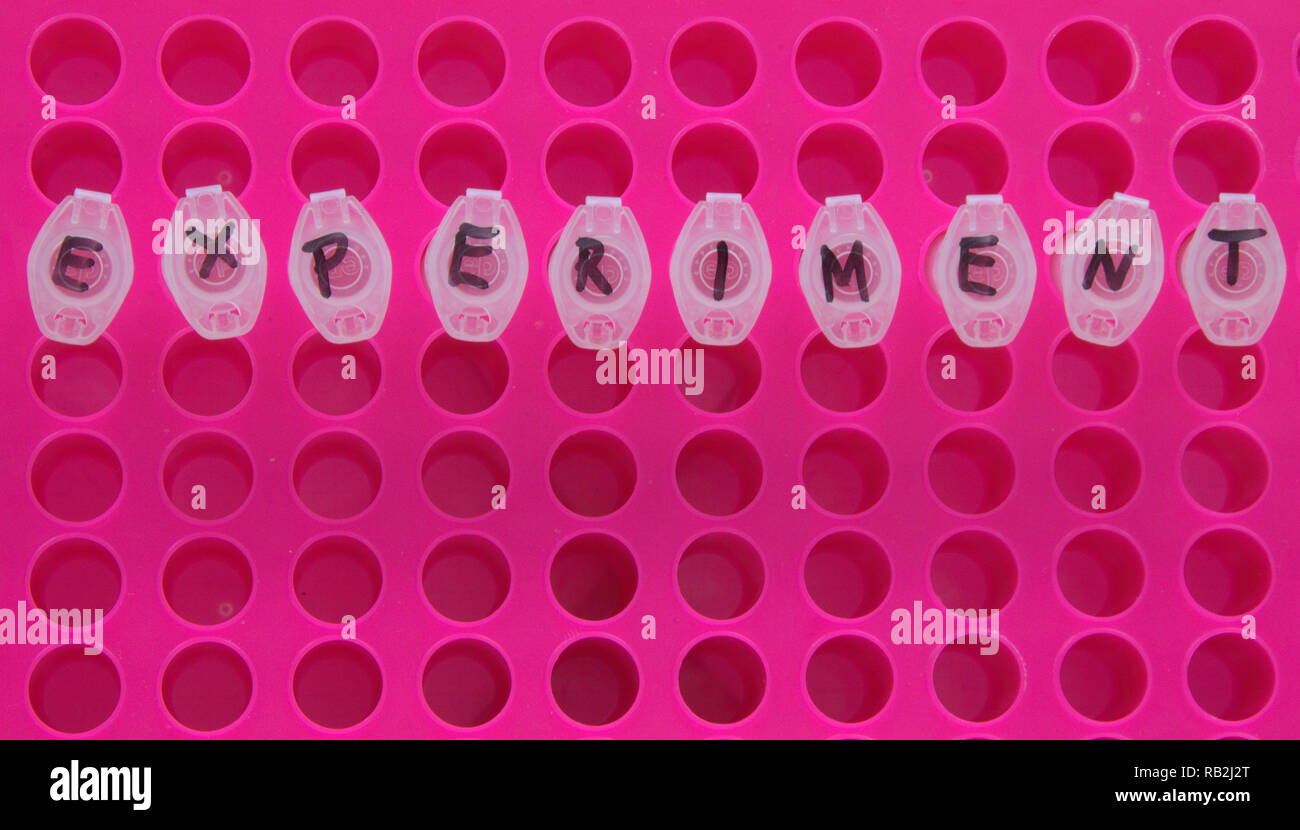 Test tube in an orange colored laboratory rack - looking from above ...