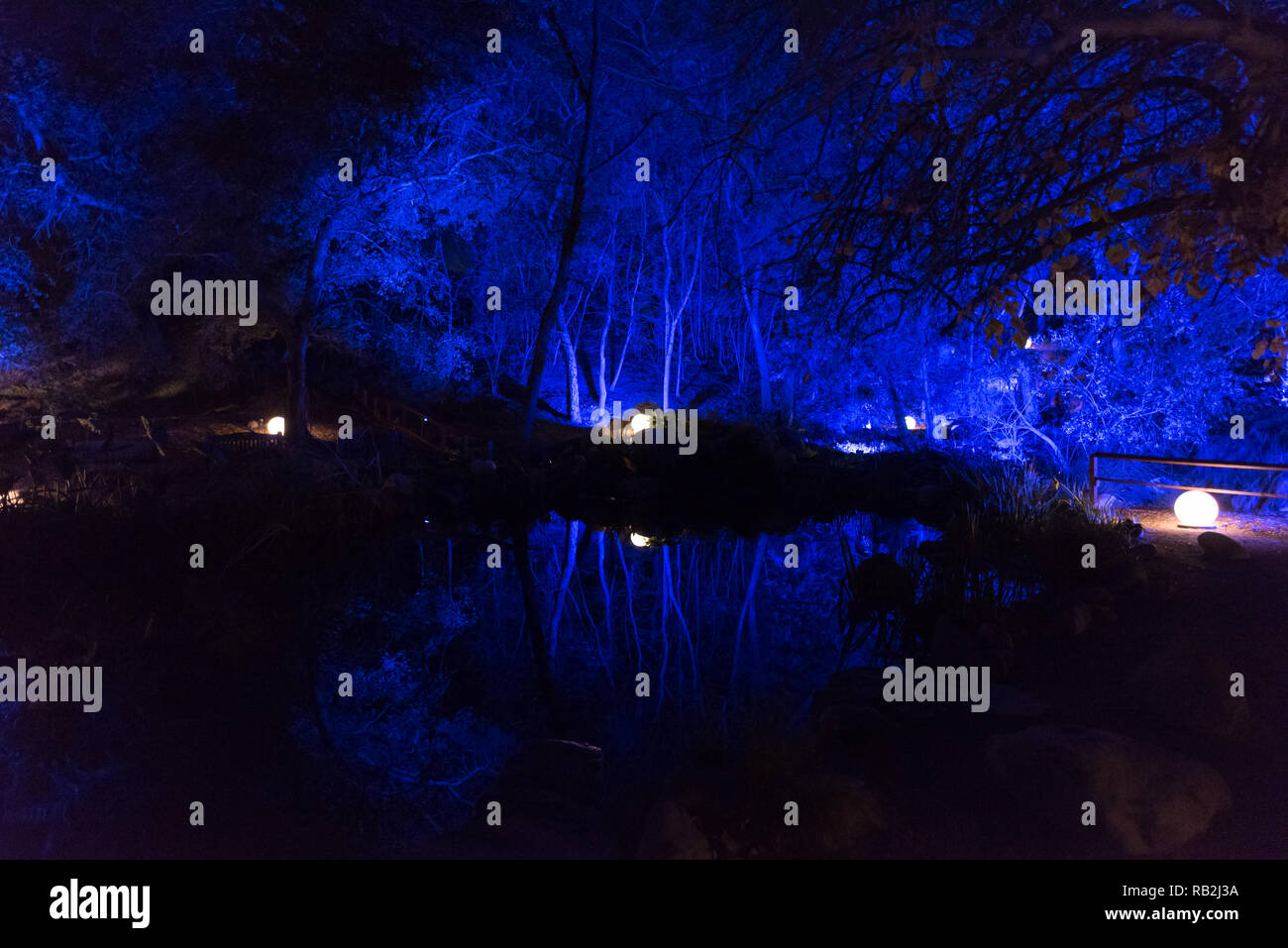 Enchanted forest - beautifully illuminated pond at night Stock Photo ...