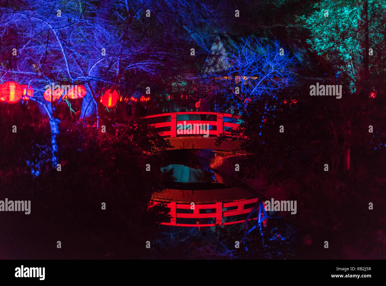 Enchanted forest - beautiful Japanese garden at night Stock Photo - Alamy