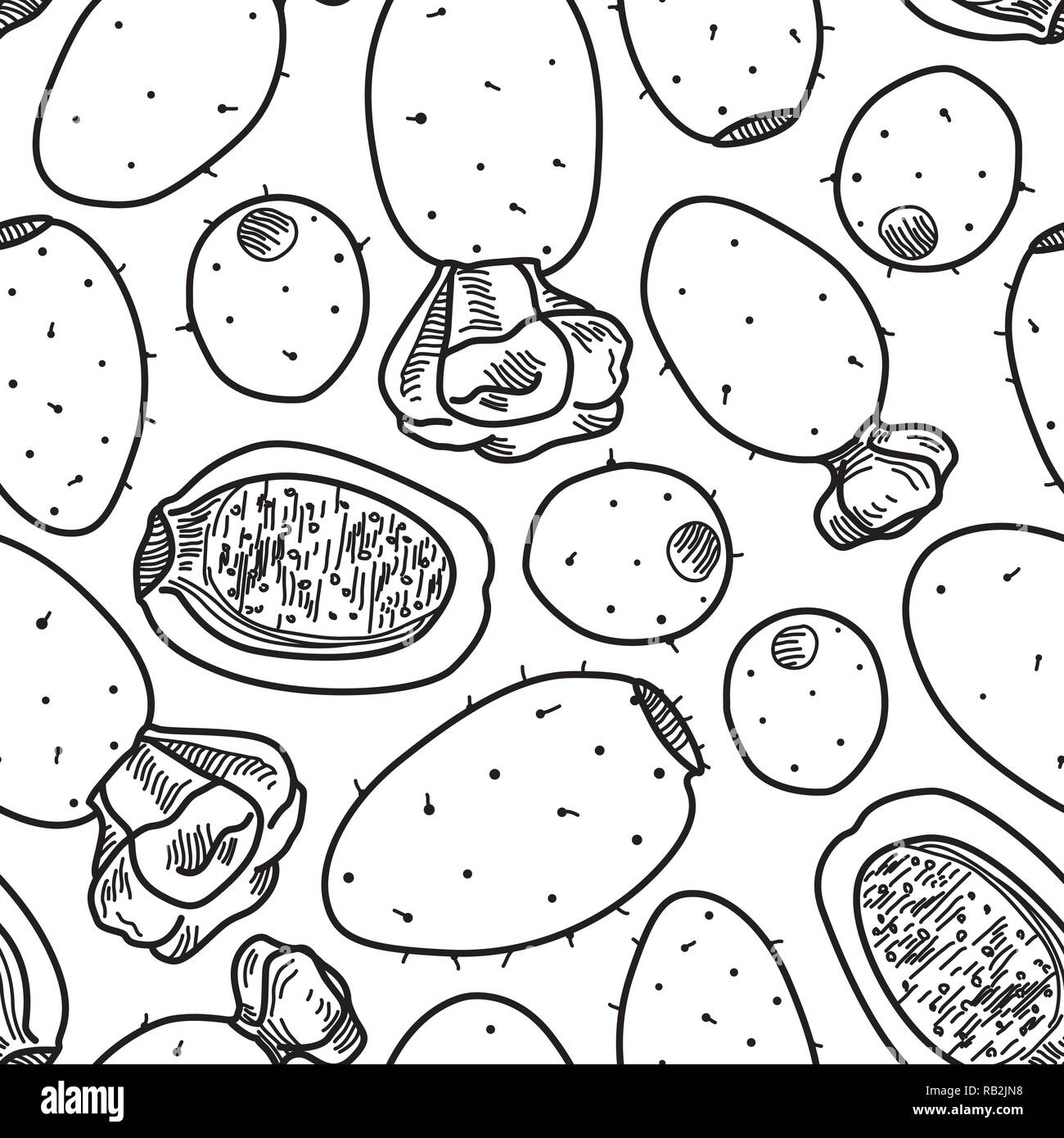 Blossom on prickly pear cactus hi-res stock photography and images - Alamy