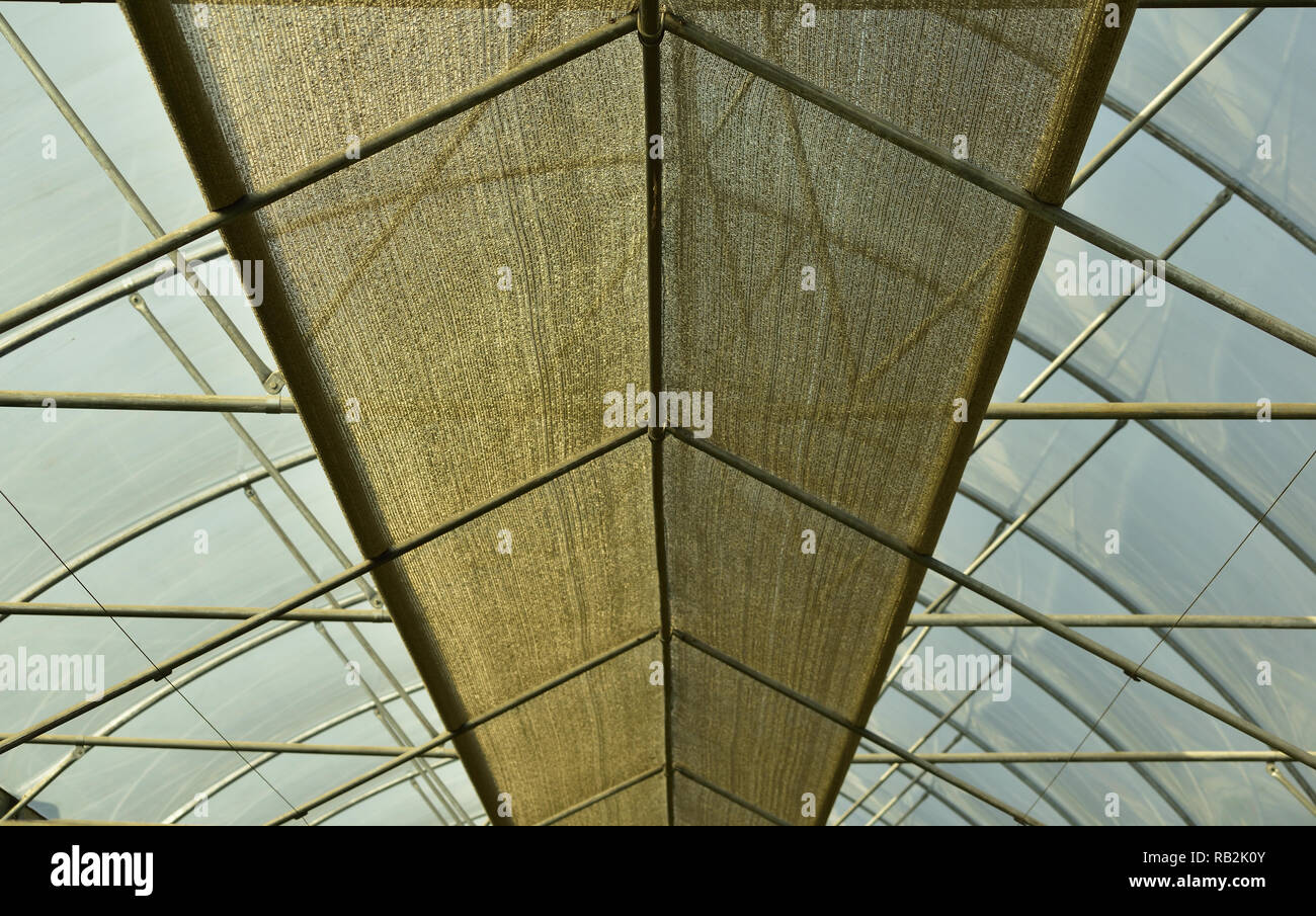 Amazing steel frame interior roof view Stock Photo - Alamy