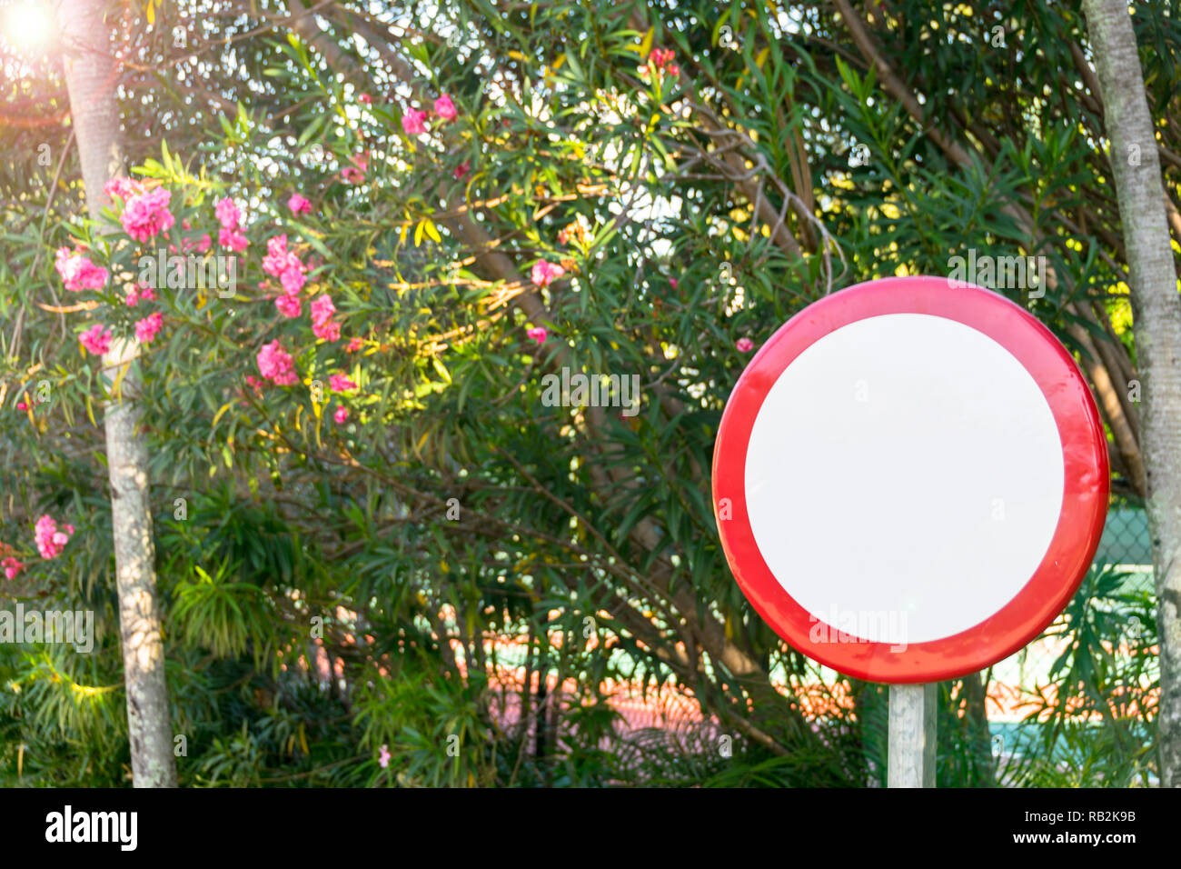 blank round sign in tropical forest with space for text, empty space ...