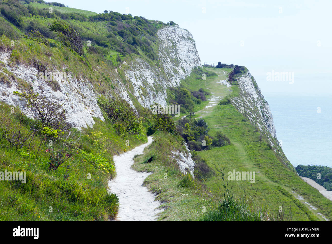 Coastal walking path on top of white chalk cliffs, overlooking the ...