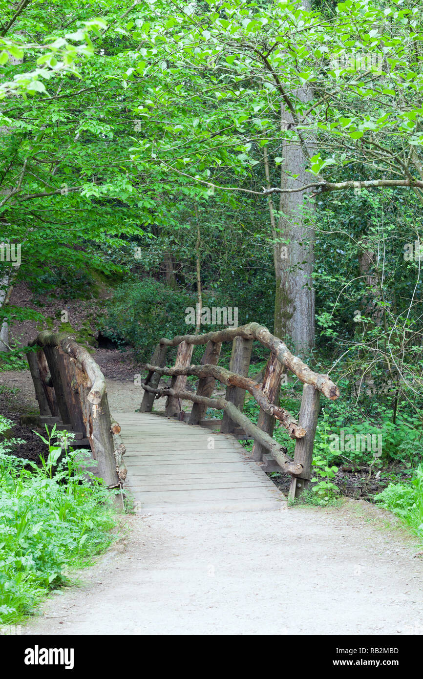 Woodland trail crossing wooden bridge made from tree branches, English ...