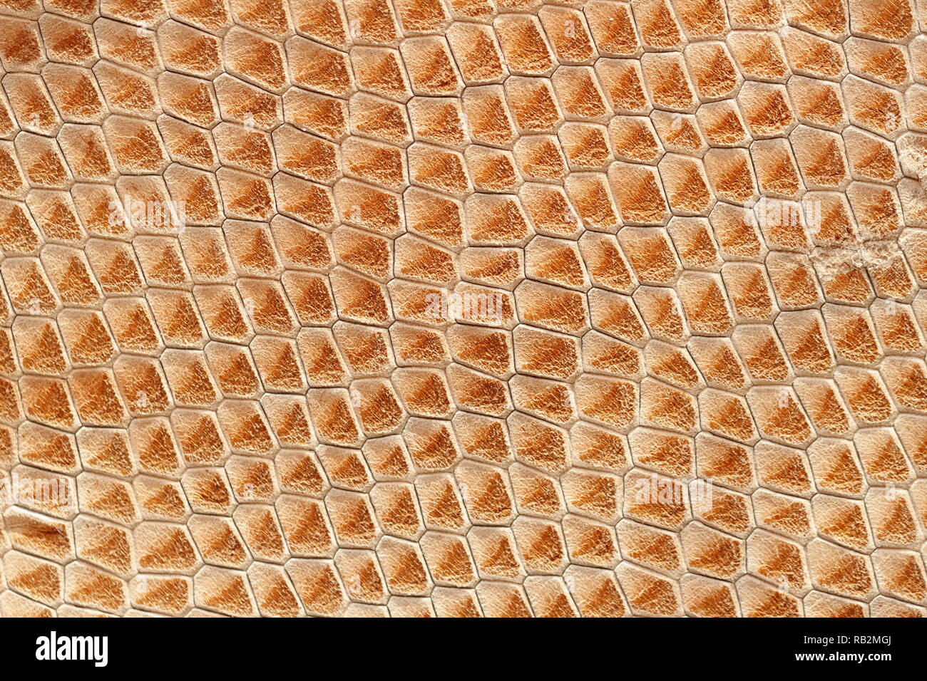 Genuine leather texture with embossed scales of exotic reptile, light ...