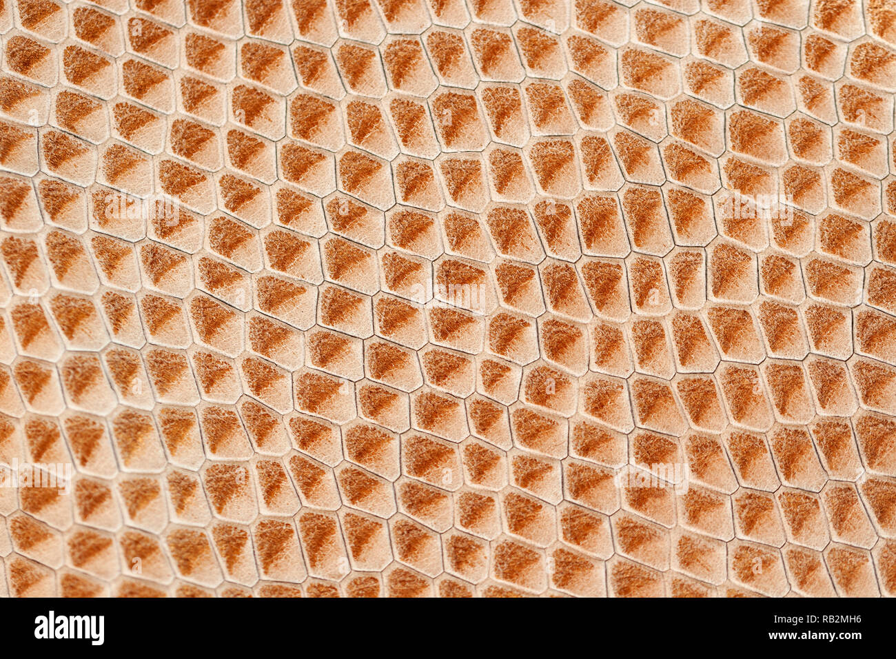 Texture of light brown genuine leather close-up, with embossed scales ...
