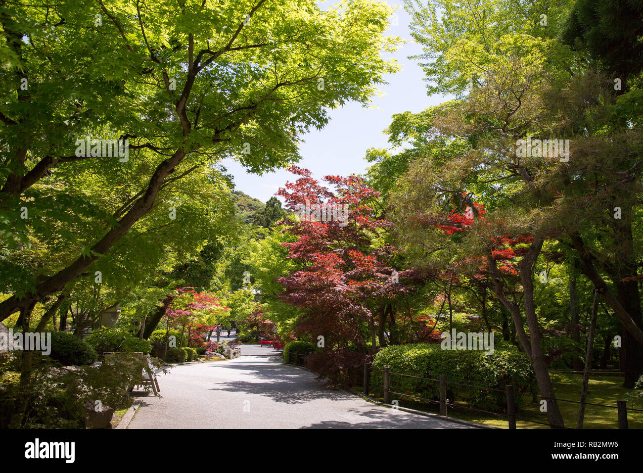 A beautiful walkway in Kyoto, Japan Stock Photo - Alamy