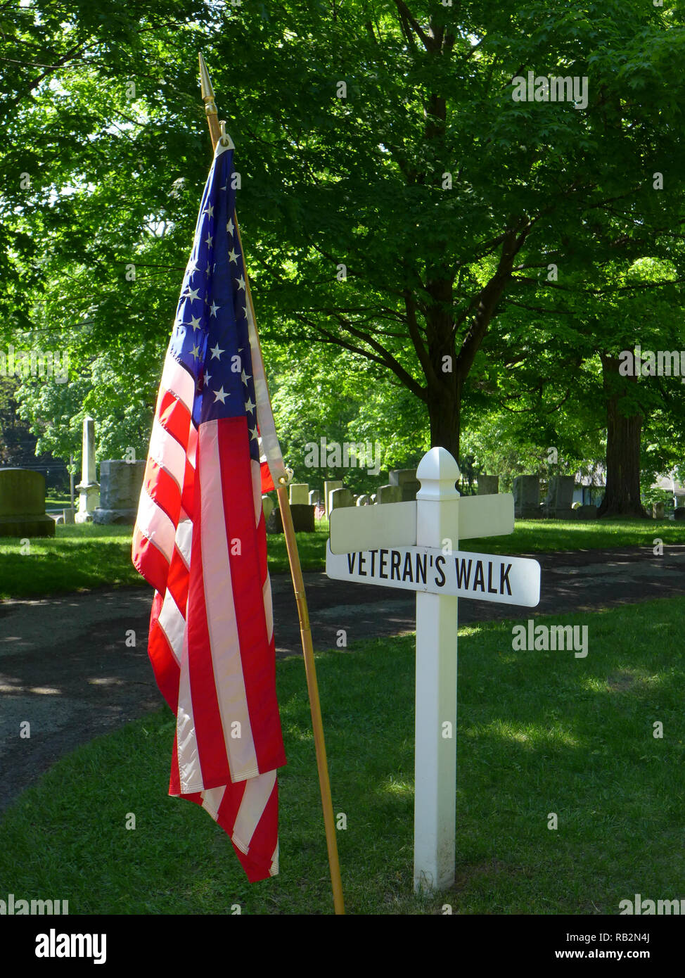 American flags in cemetery Stock Photo - Alamy