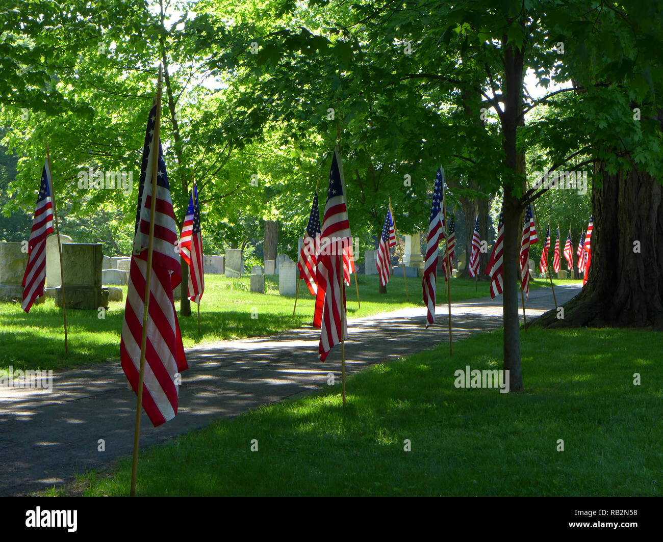 American flags in cemetery Stock Photo - Alamy