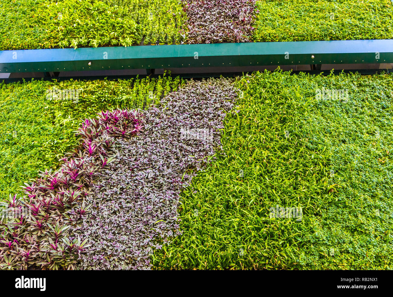 Panels containing Four Ground Covers in a design Stock Photo - Alamy