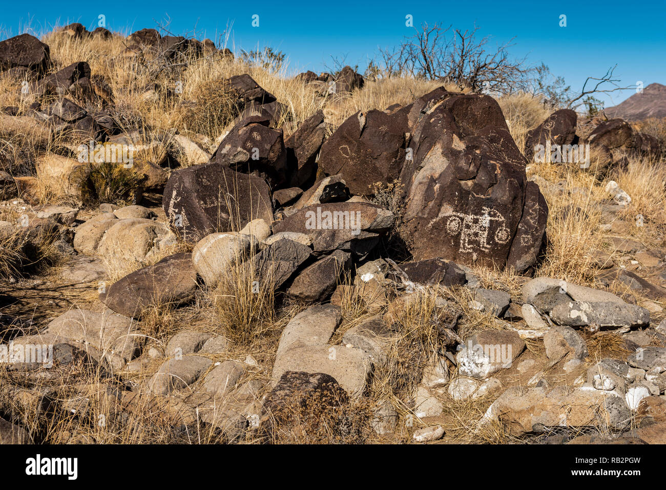 New Mexico petroglyphs, Three Rivers Petroglyph Site, New Mexico, USA ...