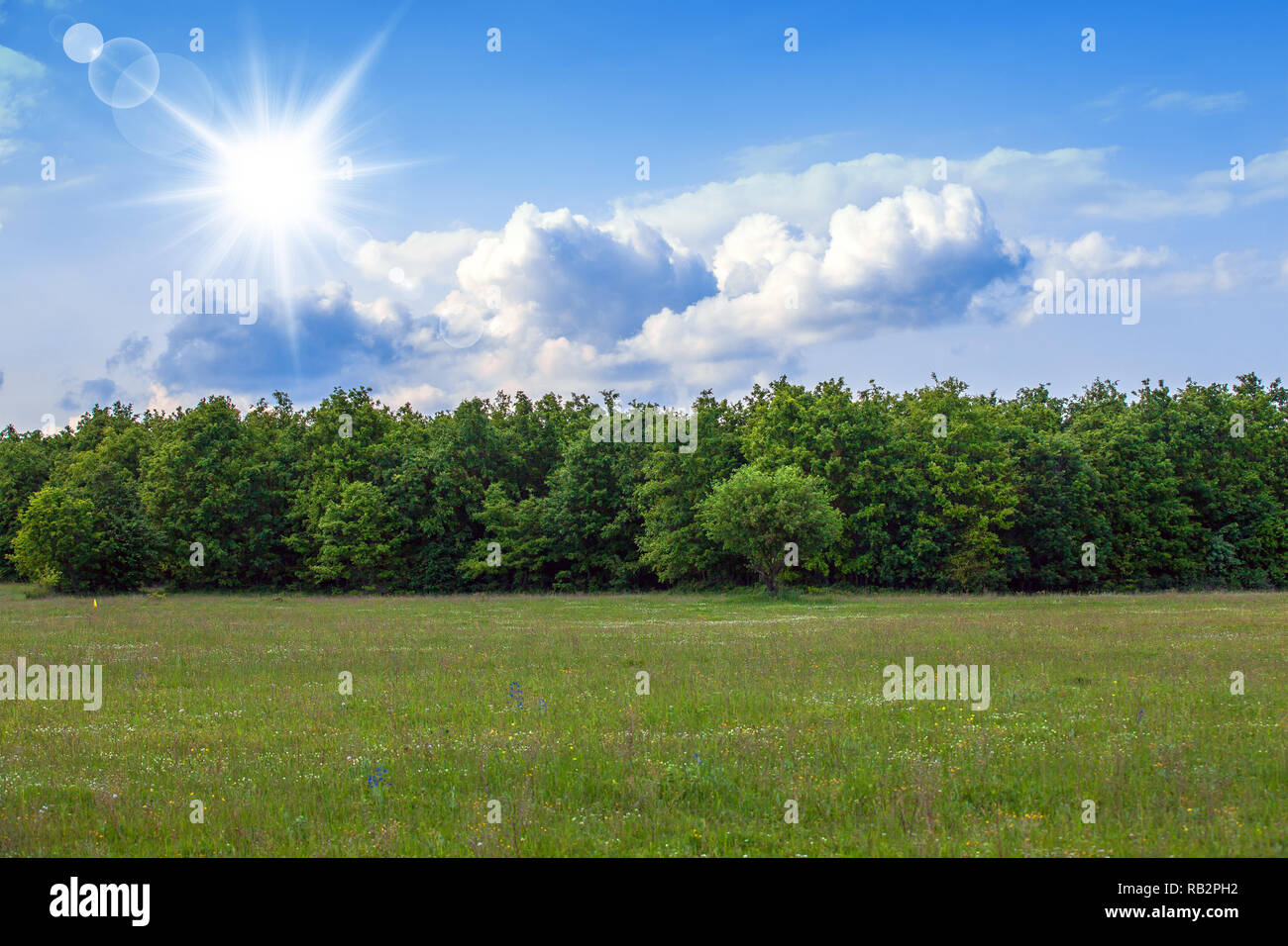 Spring fields in summer, wonderful intense colors Stock Photo - Alamy
