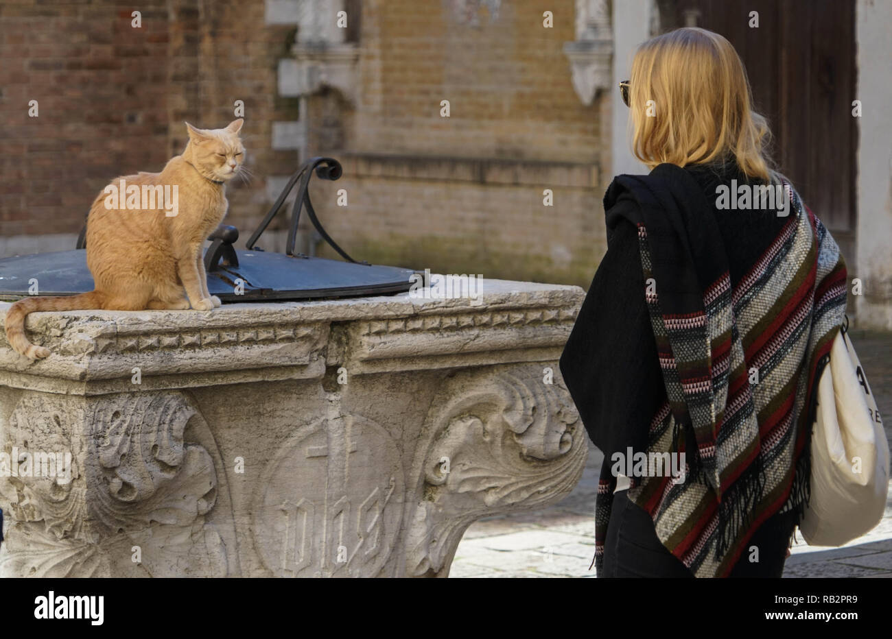 Venedig katze hi-res stock photography and images - Alamy