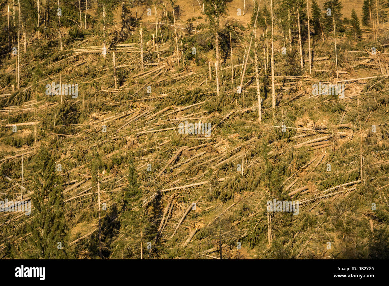 Vaia cyclone hi-res stock photography and images - Alamy