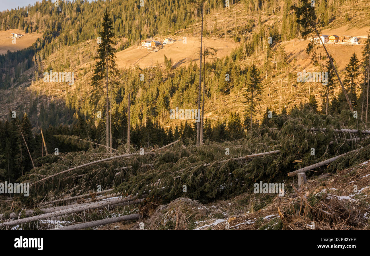 Vaia disaster hi-res stock photography and images - Alamy
