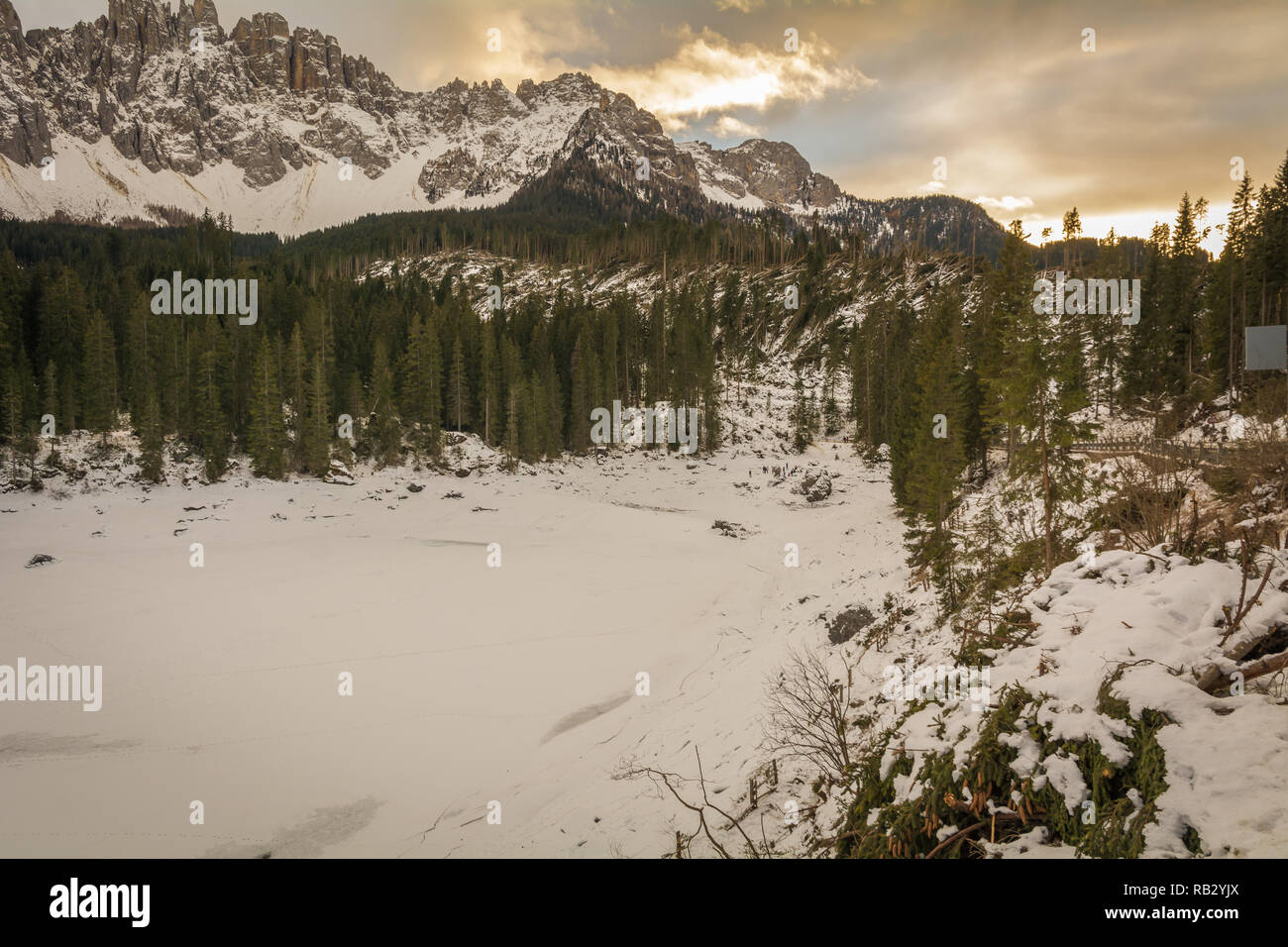 Storm vaia in north east italy hi-res stock photography and images - Alamy