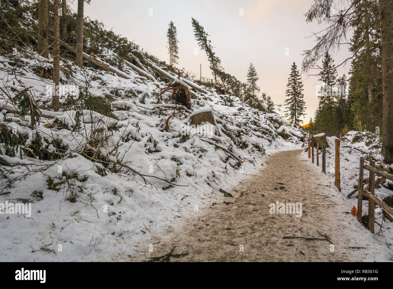 Alpine crossing of the cyclone Adrian (also known by the name Vaia) The ...