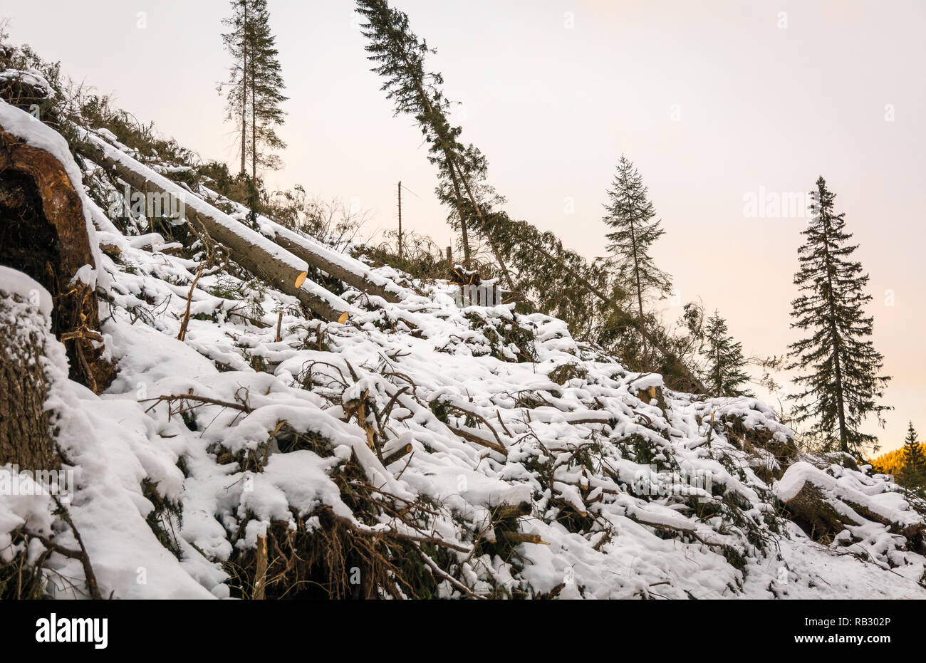 Karersee disaster hi-res stock photography and images - Alamy