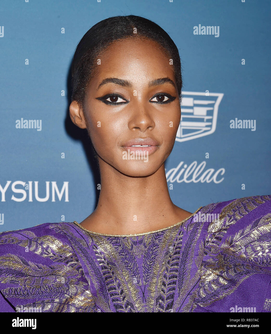 Los Angeles, United States. 05th Jan, 2019. LOS ANGELES, CA - JANUARY ...