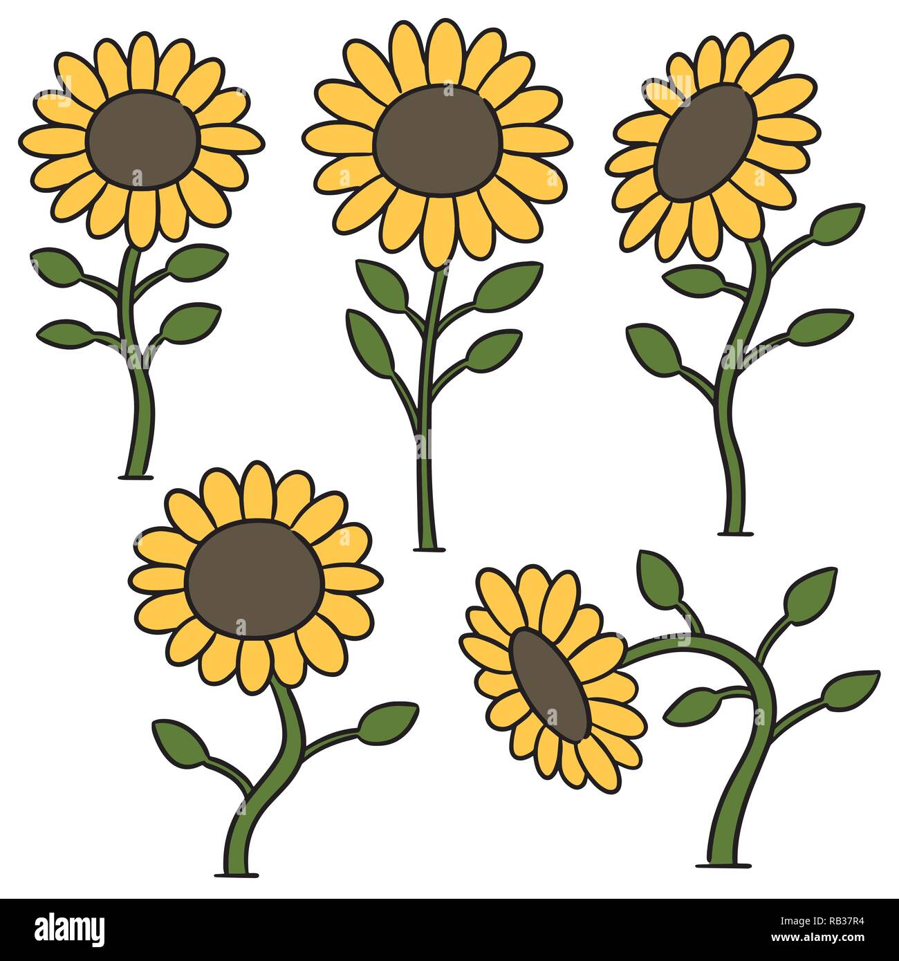 vector set of sunflower Stock Vector Image & Art - Alamy