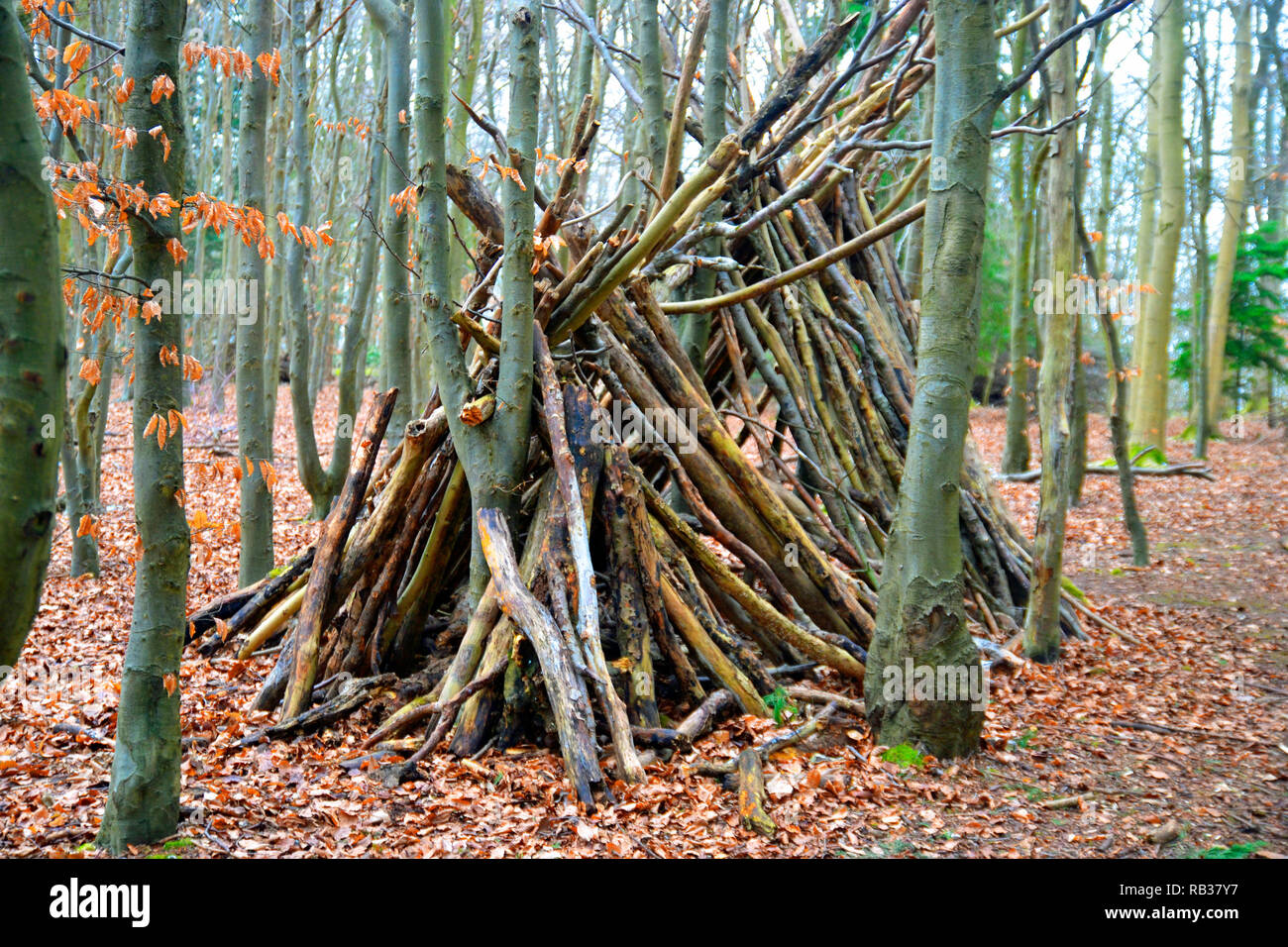 Children den building woods hi-res stock photography and images - Alamy