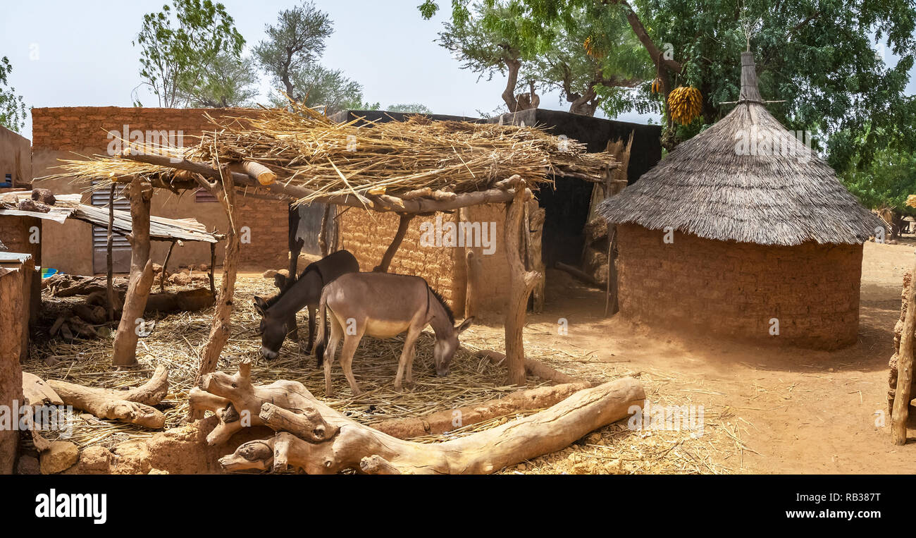 Courtyard of a traditional house or residence in a mosi village near ...