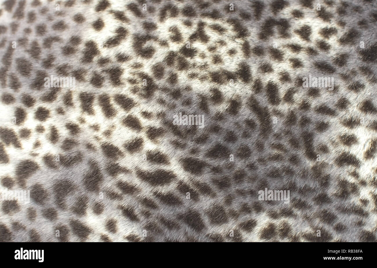 Fake leopard fur pattern wildlife print style Stock Photo - Alamy
