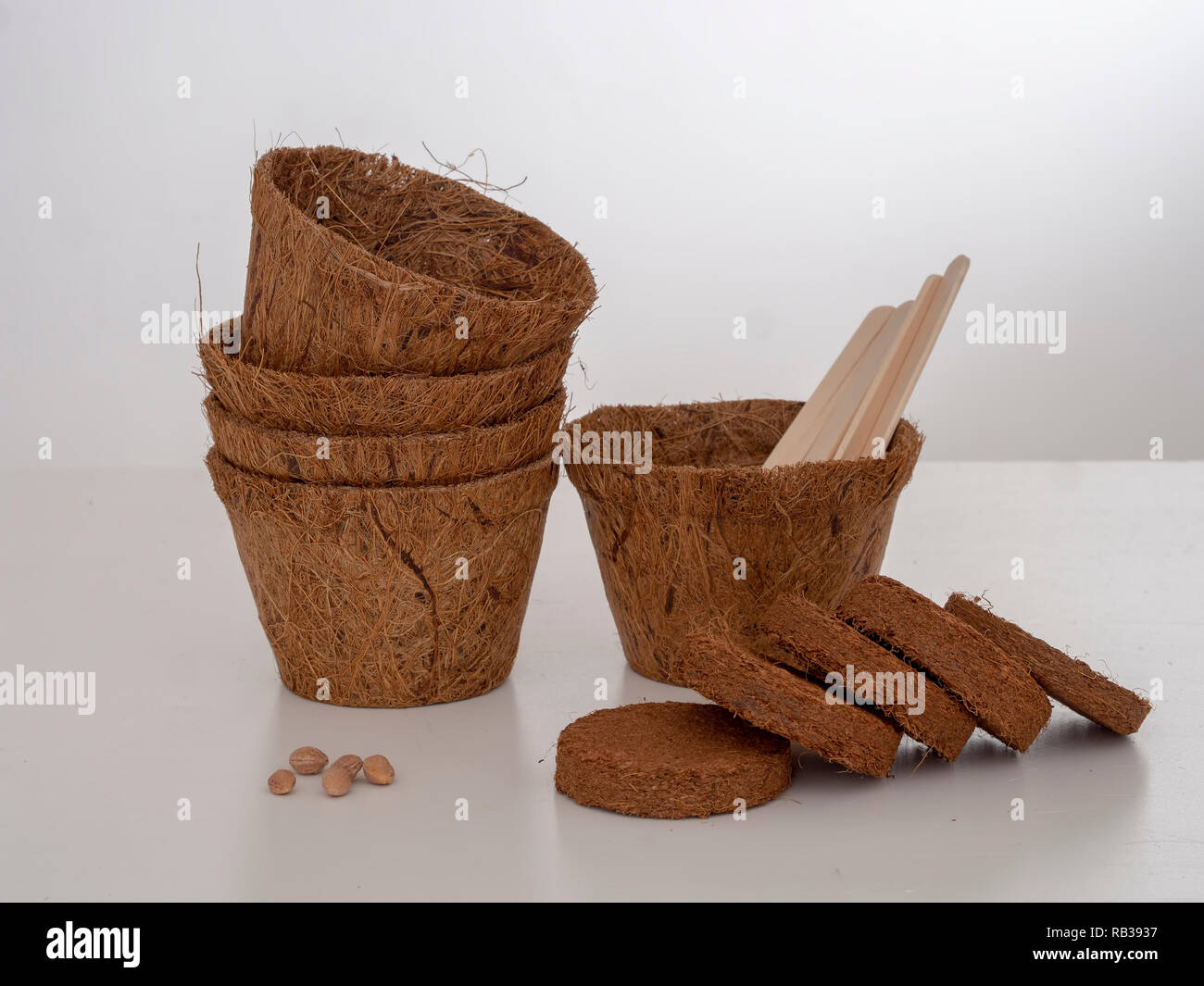 Coir plant pots and compressed compost with seeds and wooden labels ...