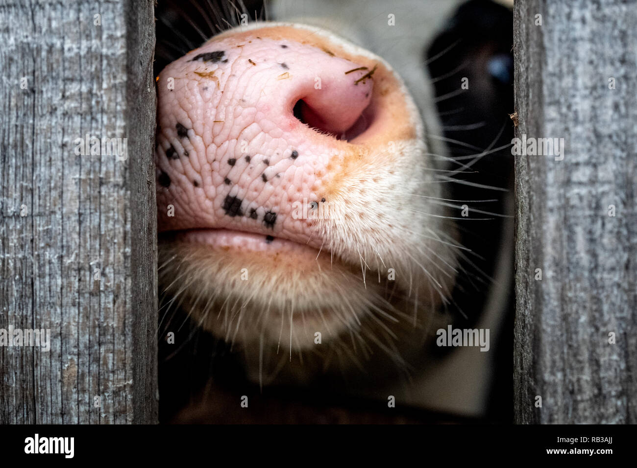 Ovingdean brighton hi-res stock photography and images - Alamy