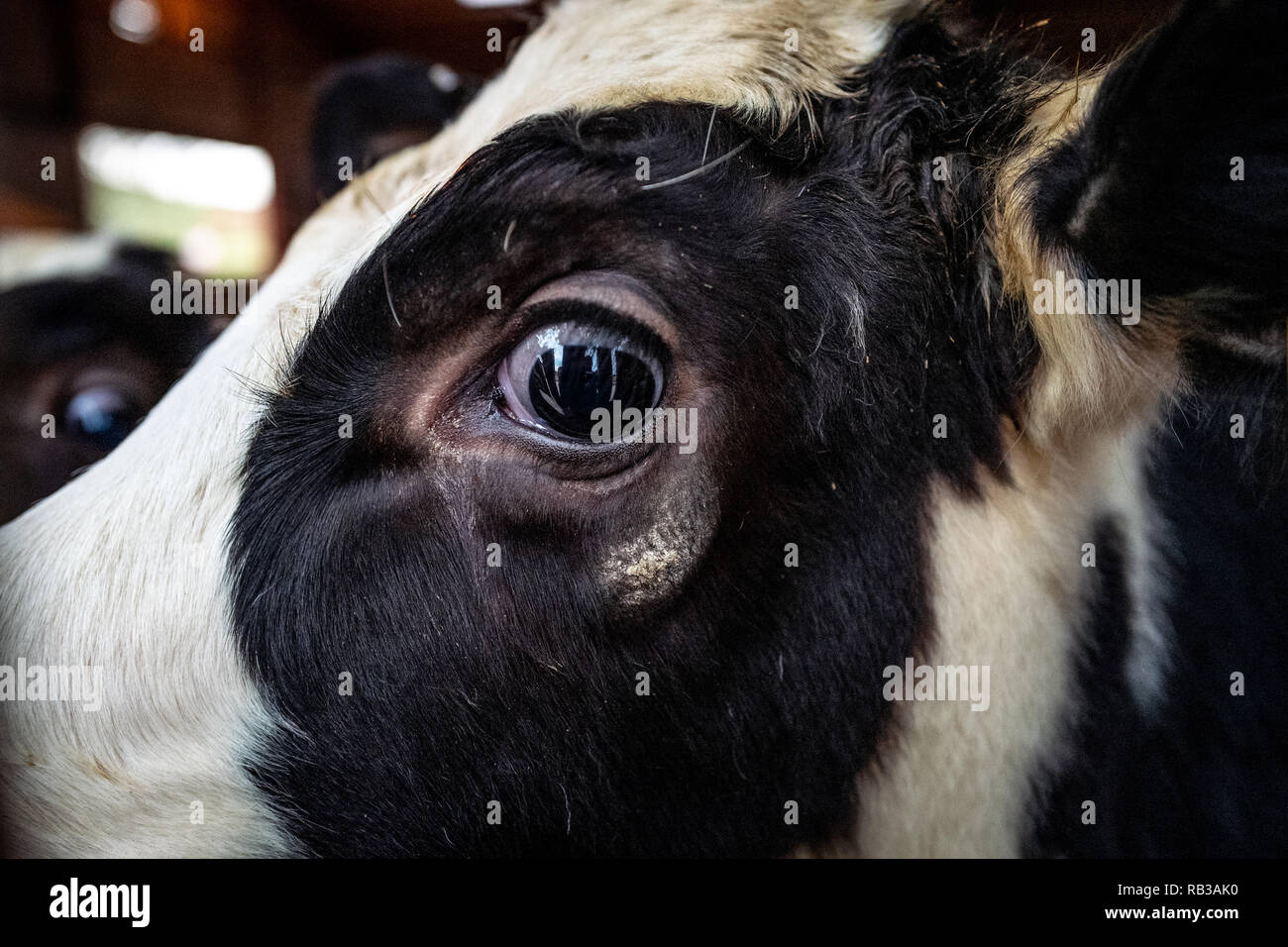 Ovingdean brighton hi-res stock photography and images - Alamy