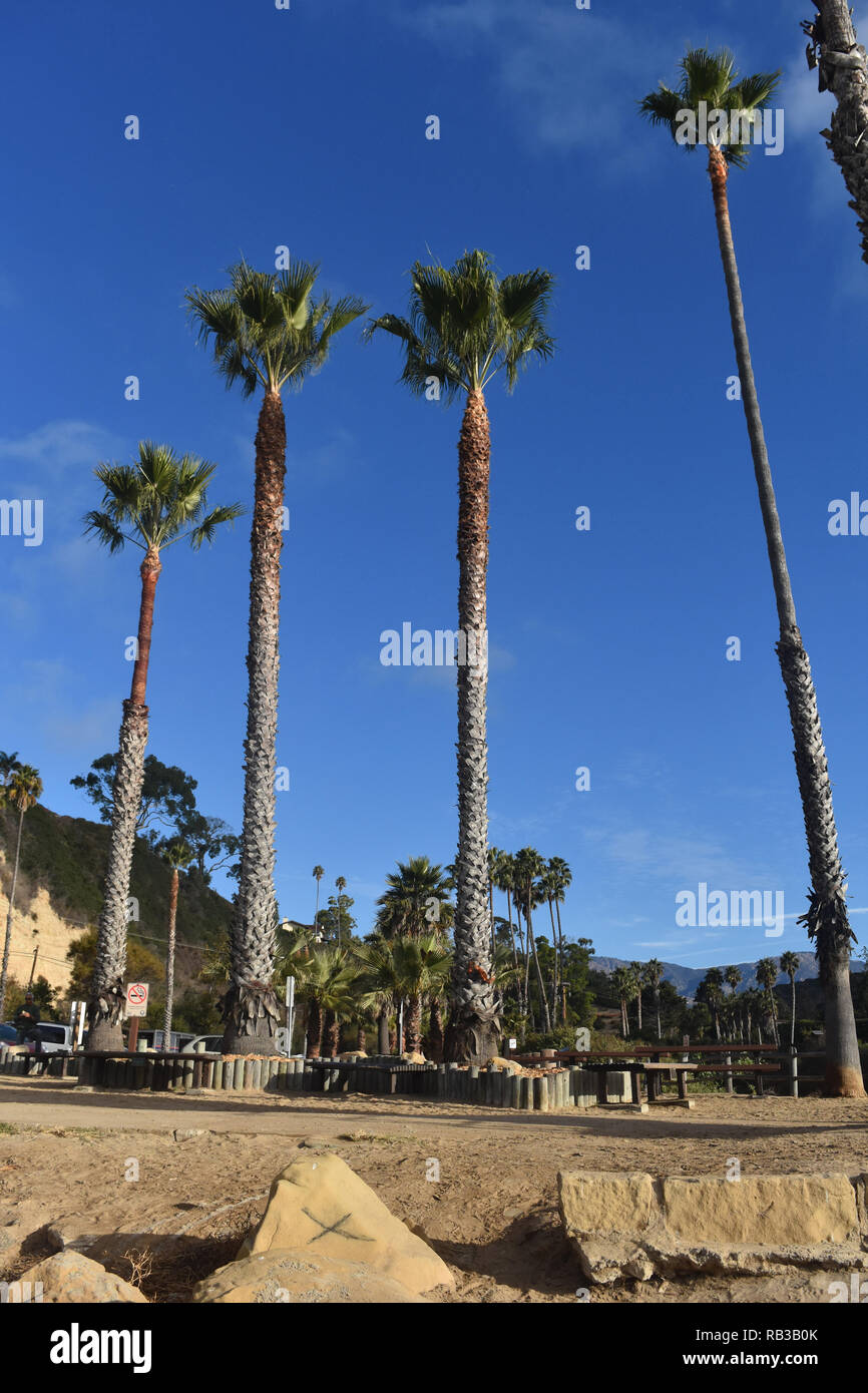 Hendrys beach arroyo burro beach hi-res stock photography and images ...