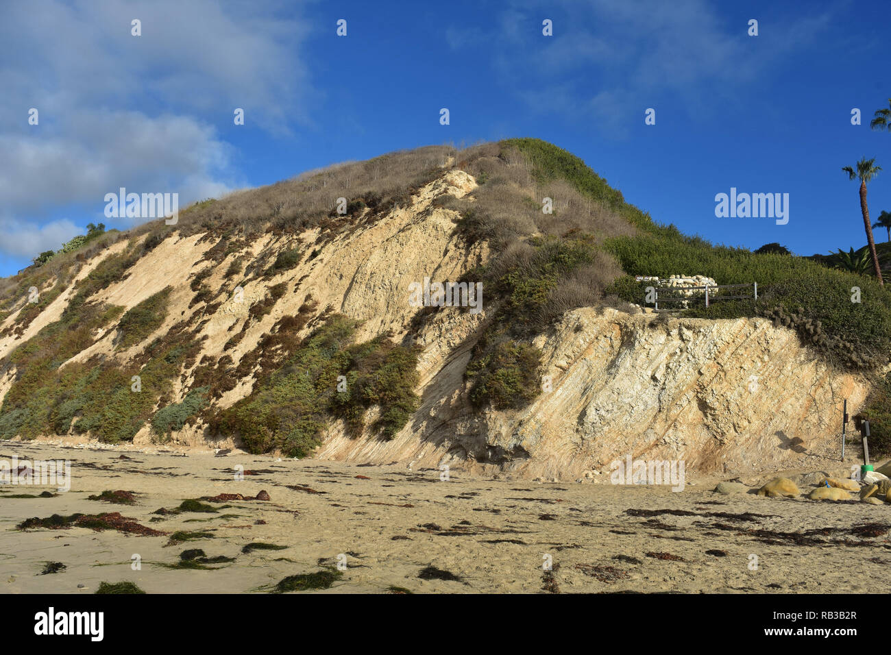 Hendrys beach arroyo burro beach hi-res stock photography and images ...