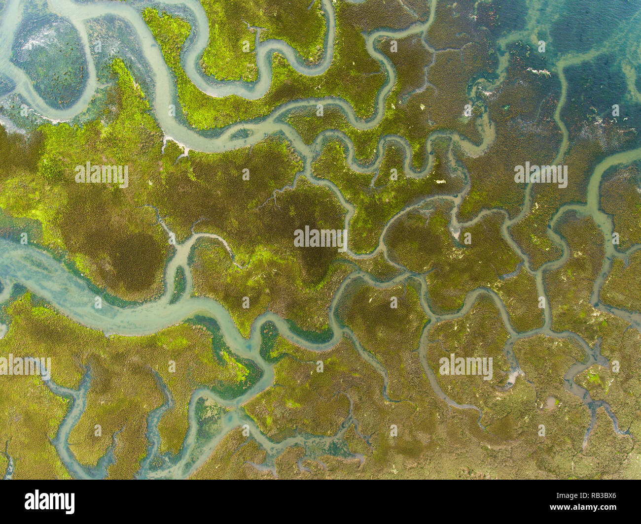 Santoña marsh hi-res stock photography and images - Alamy