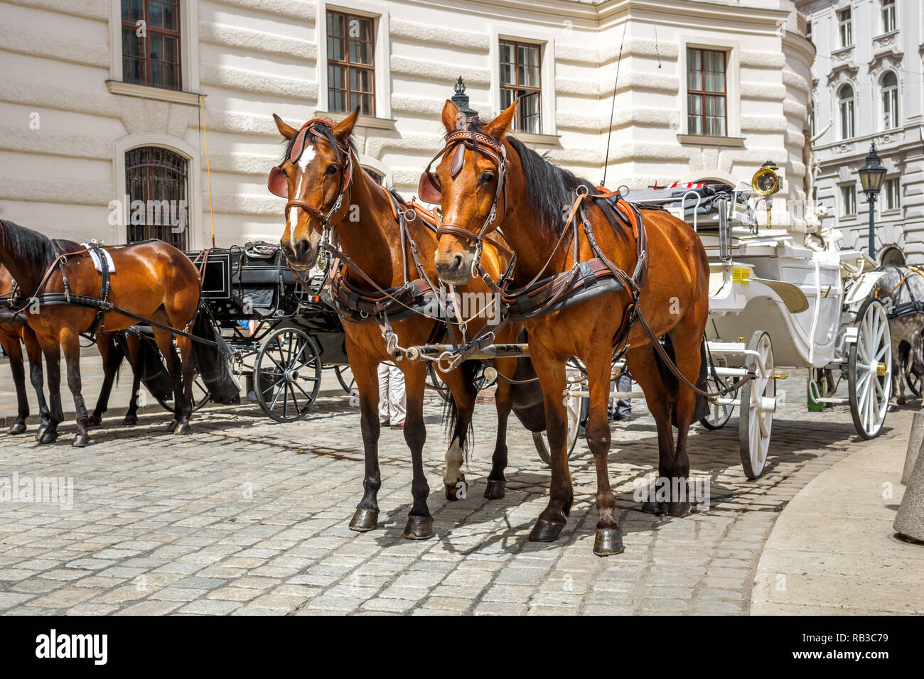 Fiacre historical hi-res stock photography and images - Alamy