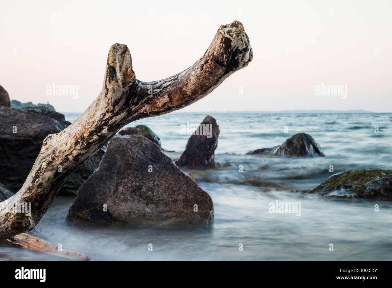 Driftwood in water hi-res stock photography and images - Alamy