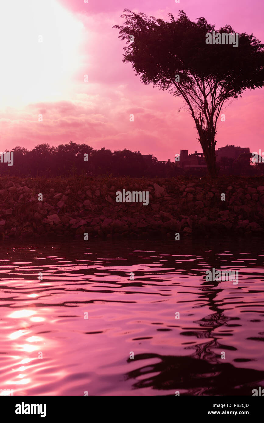 Tree on the nile hi-res stock photography and images - Alamy