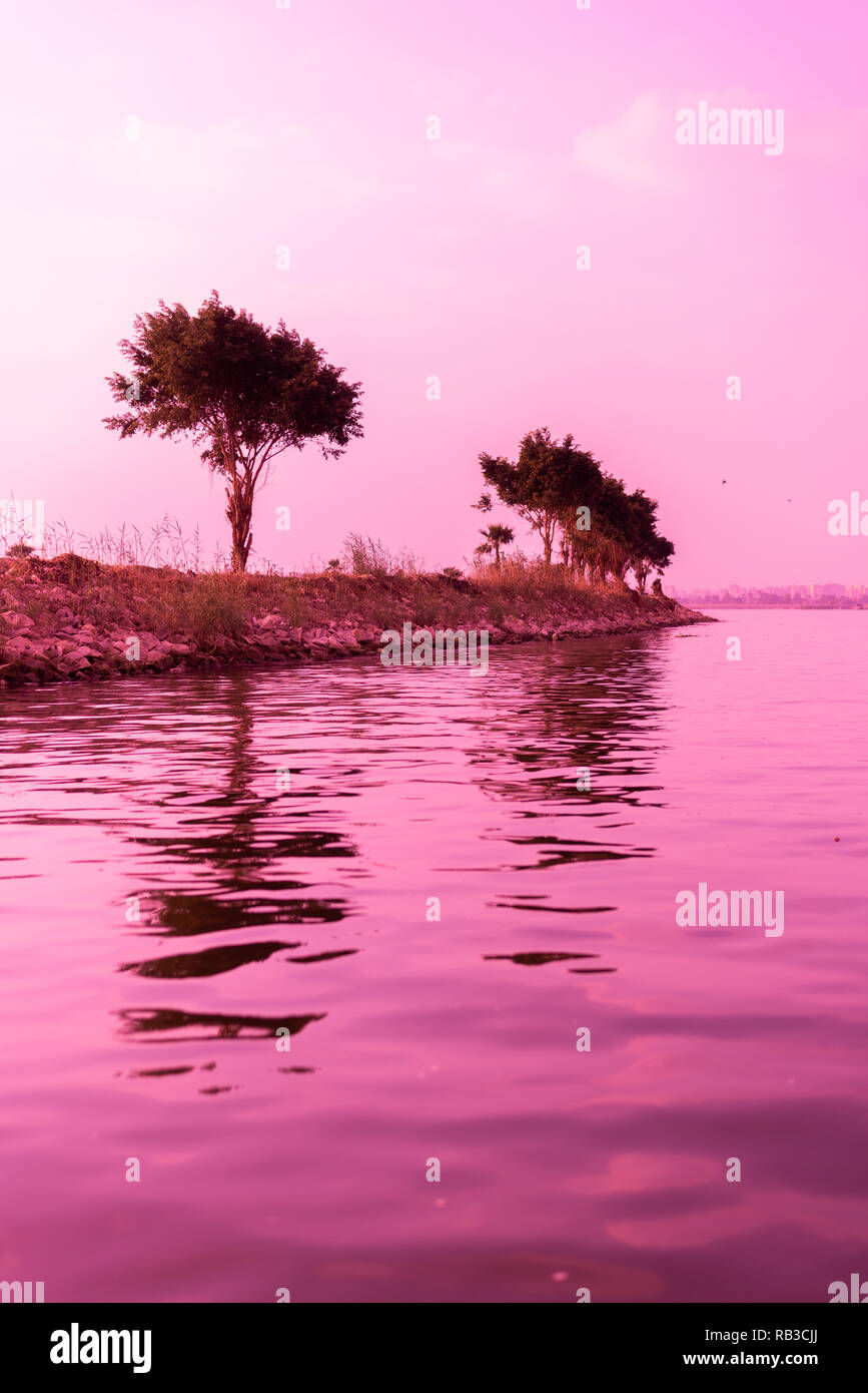 Trees on the Nile Stock Photo - Alamy