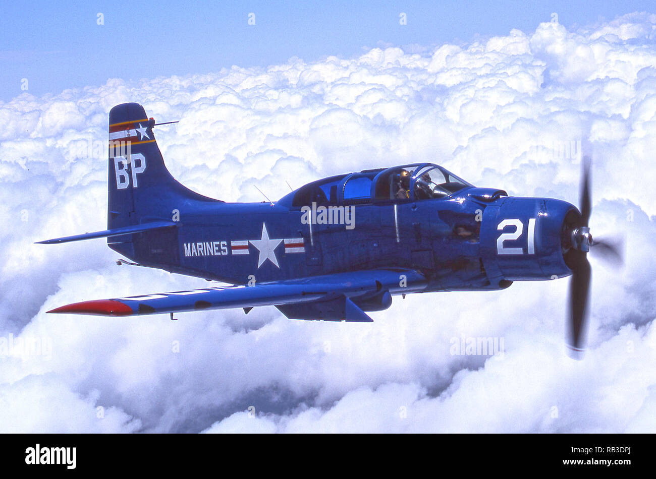 Douglas Skyraider airplane Stock Photo - Alamy