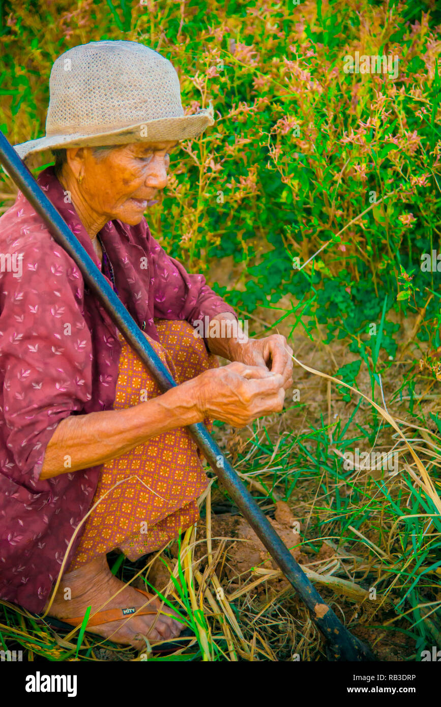 Thai elderly hunting a crab in Bangkok, Thailand. Thailand is known as ...